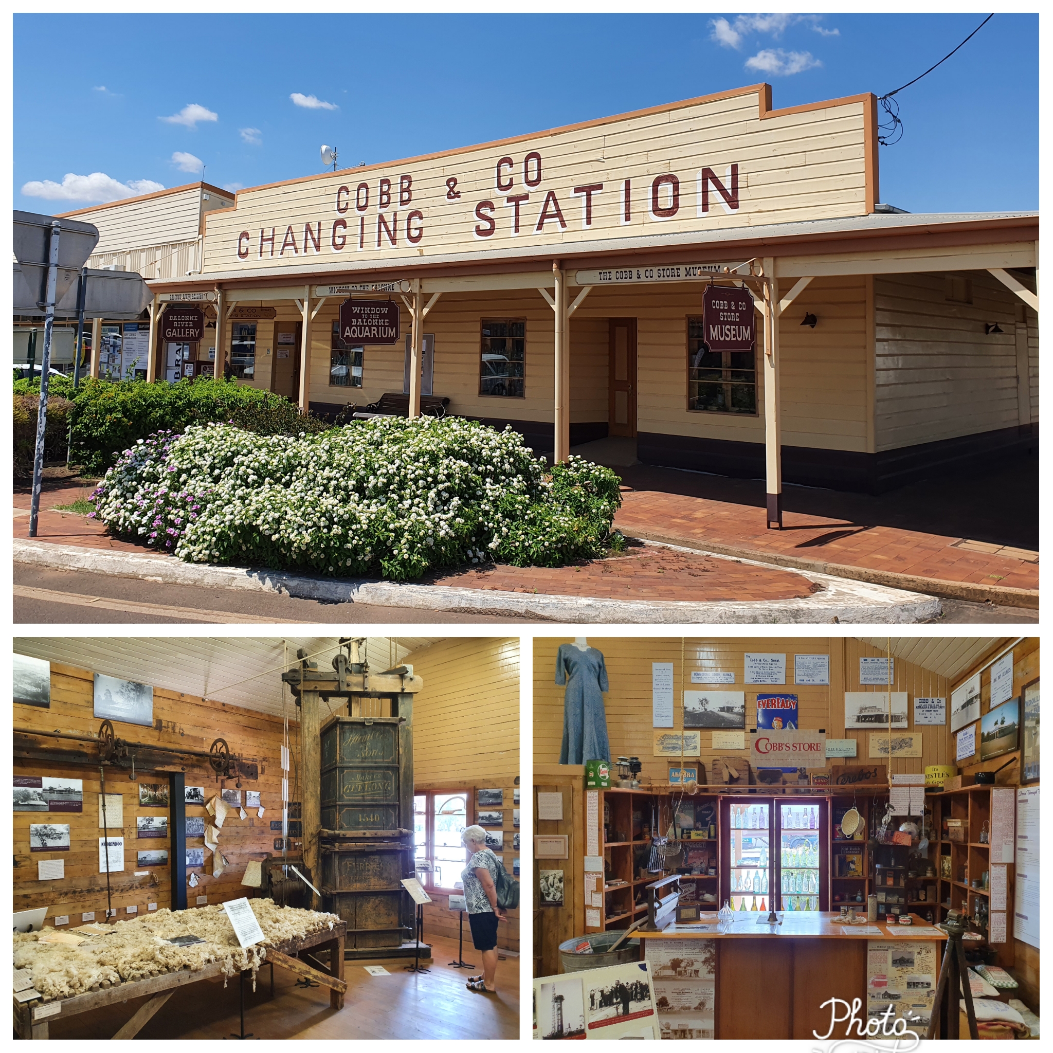 Cobb & Co in Brisbane – Paul Budde History, Philosophy, Culture