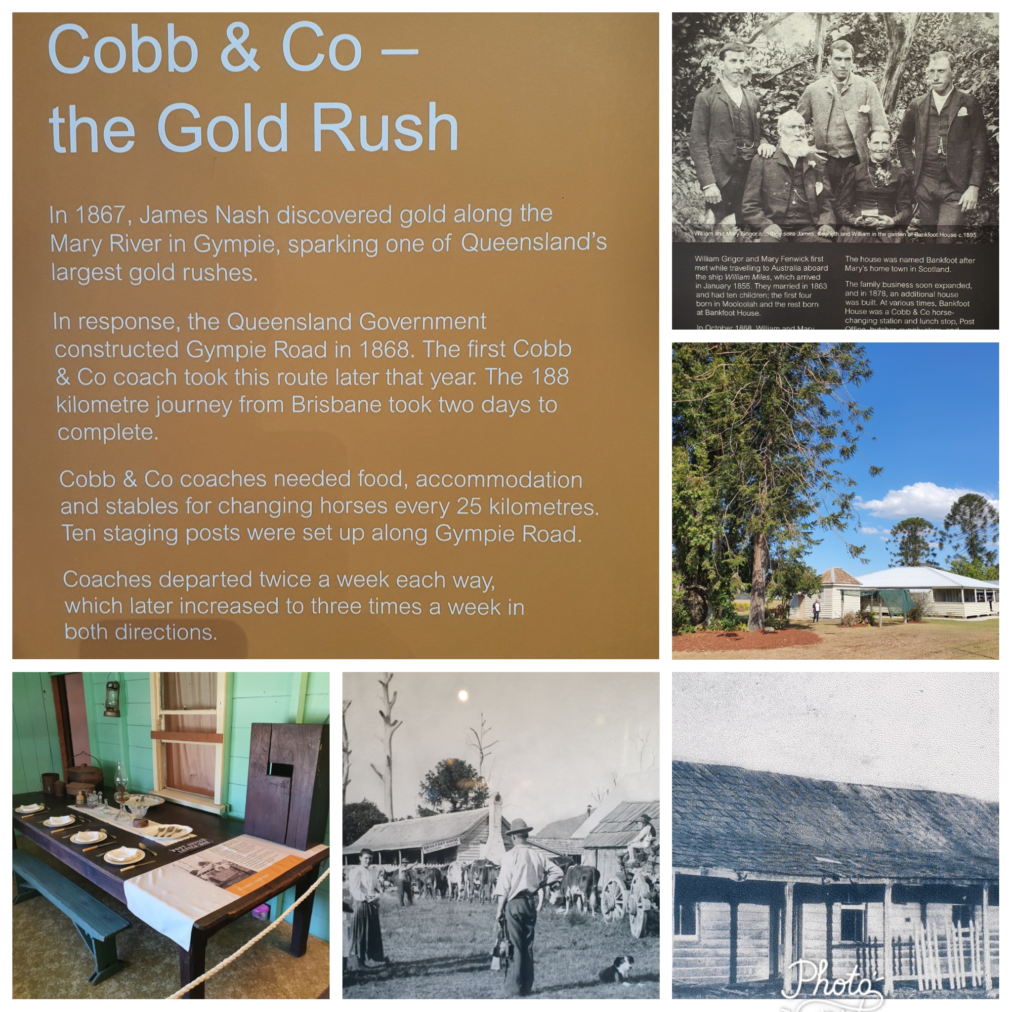 Cobb & Co in Brisbane – Paul Budde History, Philosophy, Culture